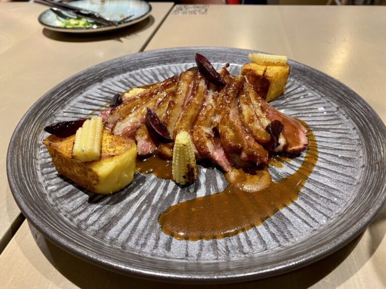 Ajonegro Pato con mole - Paratieslavida.com